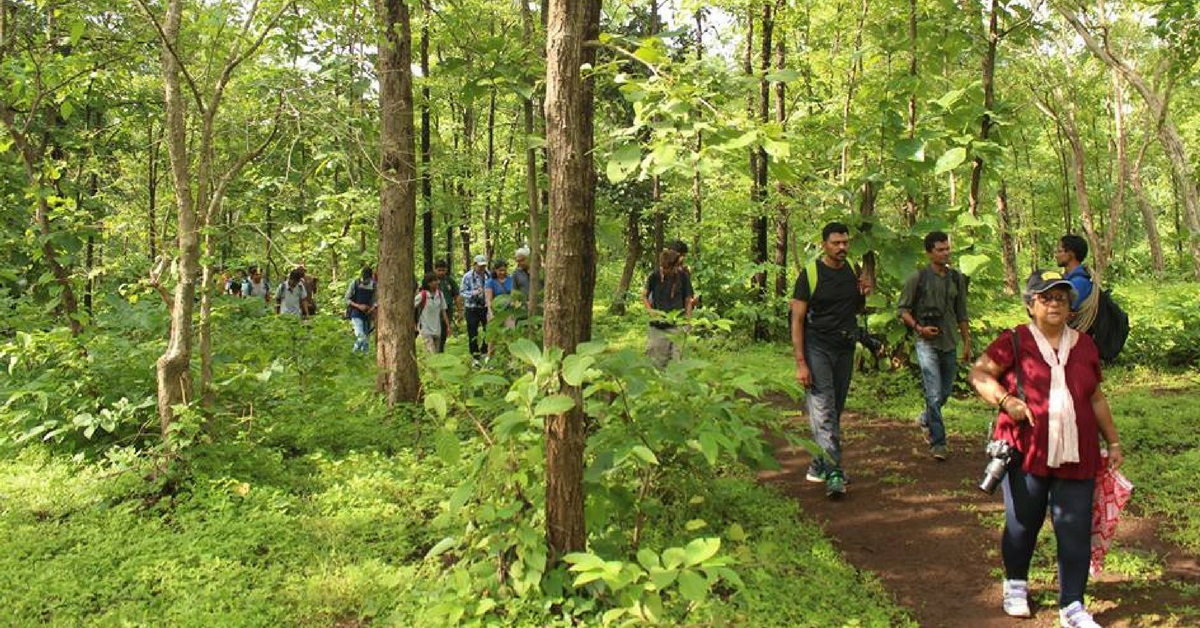 Tired of City Life? These 8 Nature Clubs Will Help You Reconnect With ...