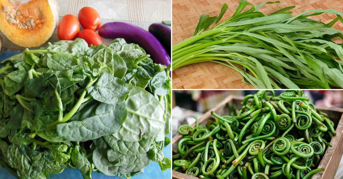 15 Little Known Leafy Vegetables Of India You Need To Try 